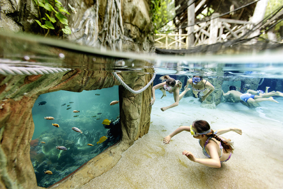 Un Center Parcs encore plus nature : Weva, votre magazine de tourisme ...